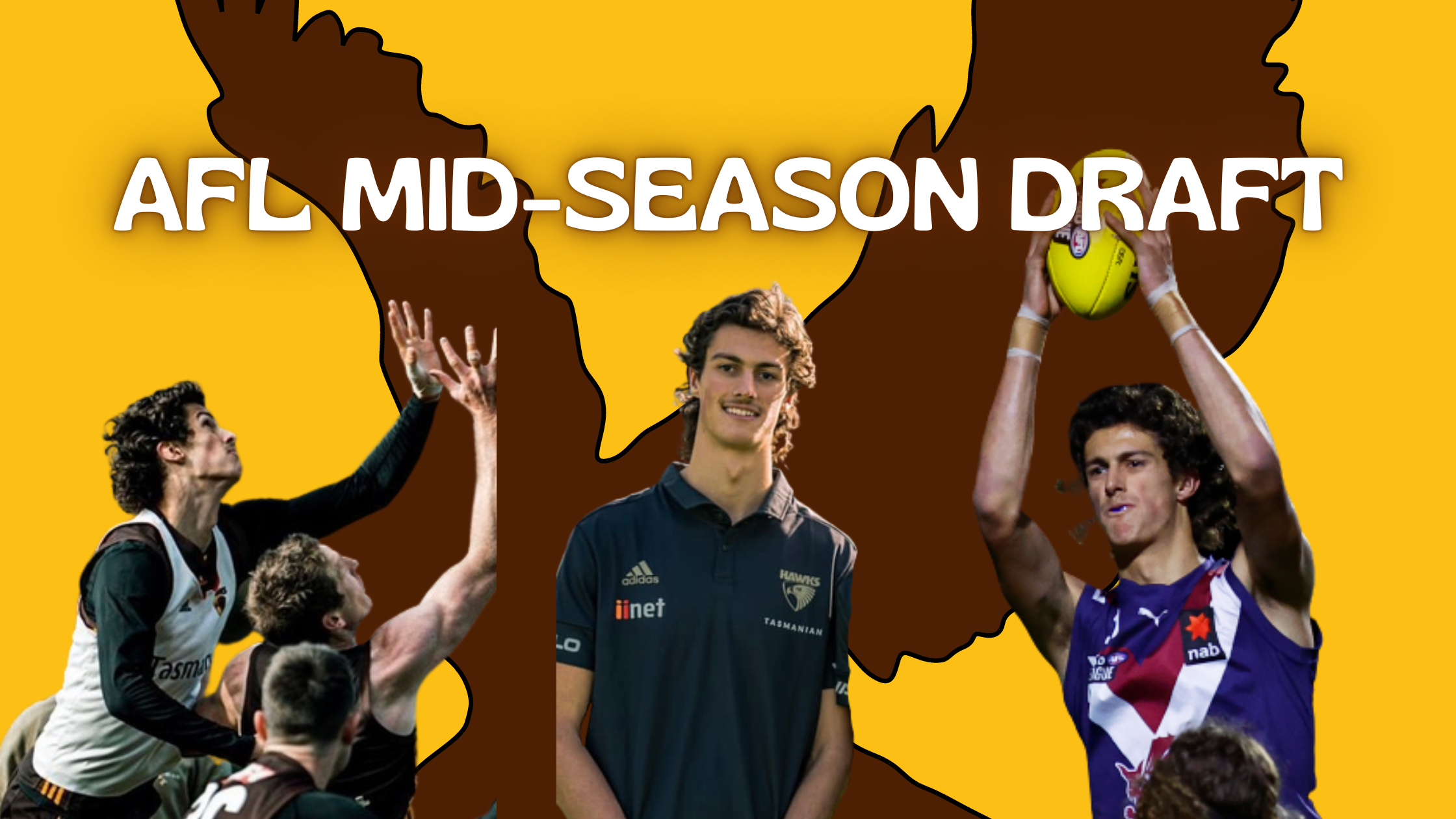 Sandringham Dragons | HomePage